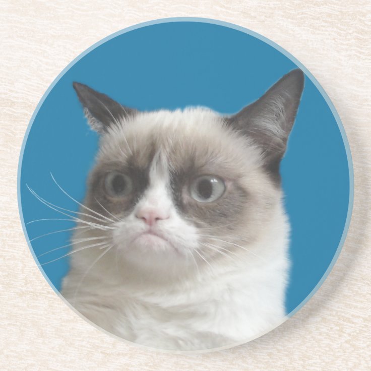 Grumpy Cat Grumpy Stare Coasters | Zazzle