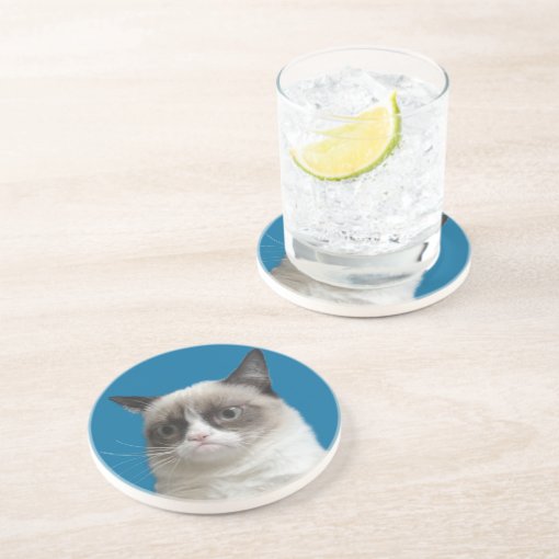 Grumpy Cat Grumpy Stare Coasters | Zazzle