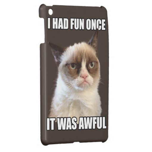 Grumpy Cat - I had fun once iPad Mini Case | Zazzle