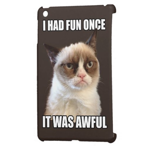 Grumpy Cat - I had fun once iPad Mini Case | Zazzle