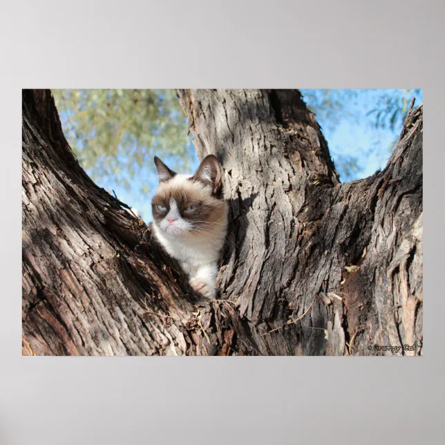 Grumpy Cat™ In a Tree Poster | Zazzle