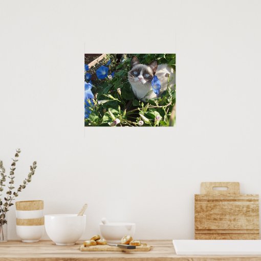 Grumpy Cat in the Morning Glories 20x16 Poster | Zazzle