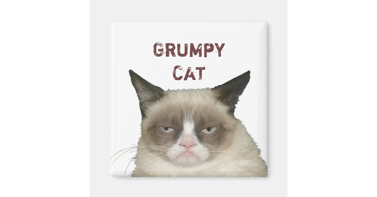 Grumpy Cat Magnet with Text | Zazzle