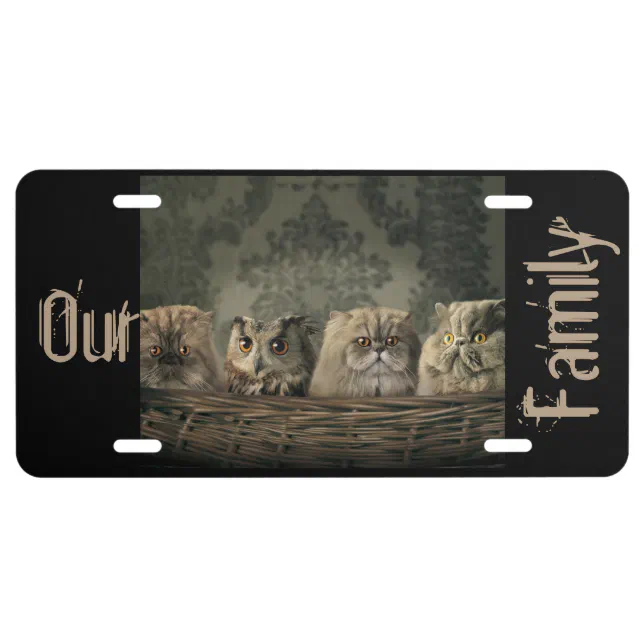 Grumpy Cat & Owl Our Family Aluminum License Plate | Zazzle