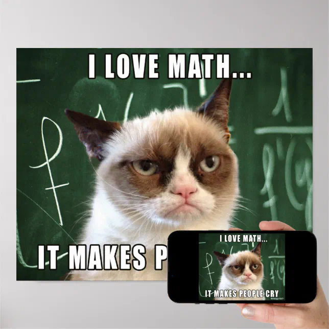 Grumpy Cat Poster- I love math it makes people cry Poster | Zazzle