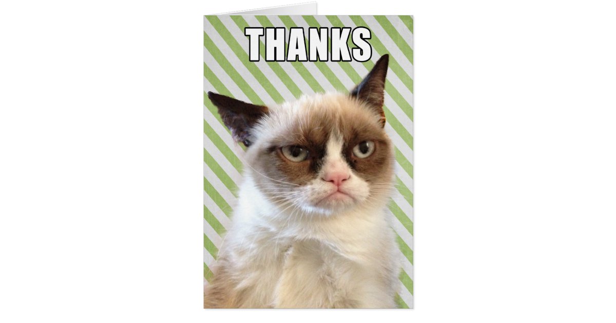 Grumpy Cat™ Thank You Card | Zazzle.com