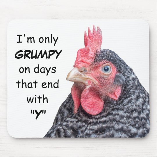 Grumpy Chicken Funny Frowning Hen Photo Mouse Pad | Zazzle.com