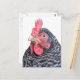 Grumpy Chicken Funny Frowning Hen Photo Postcard | Zazzle