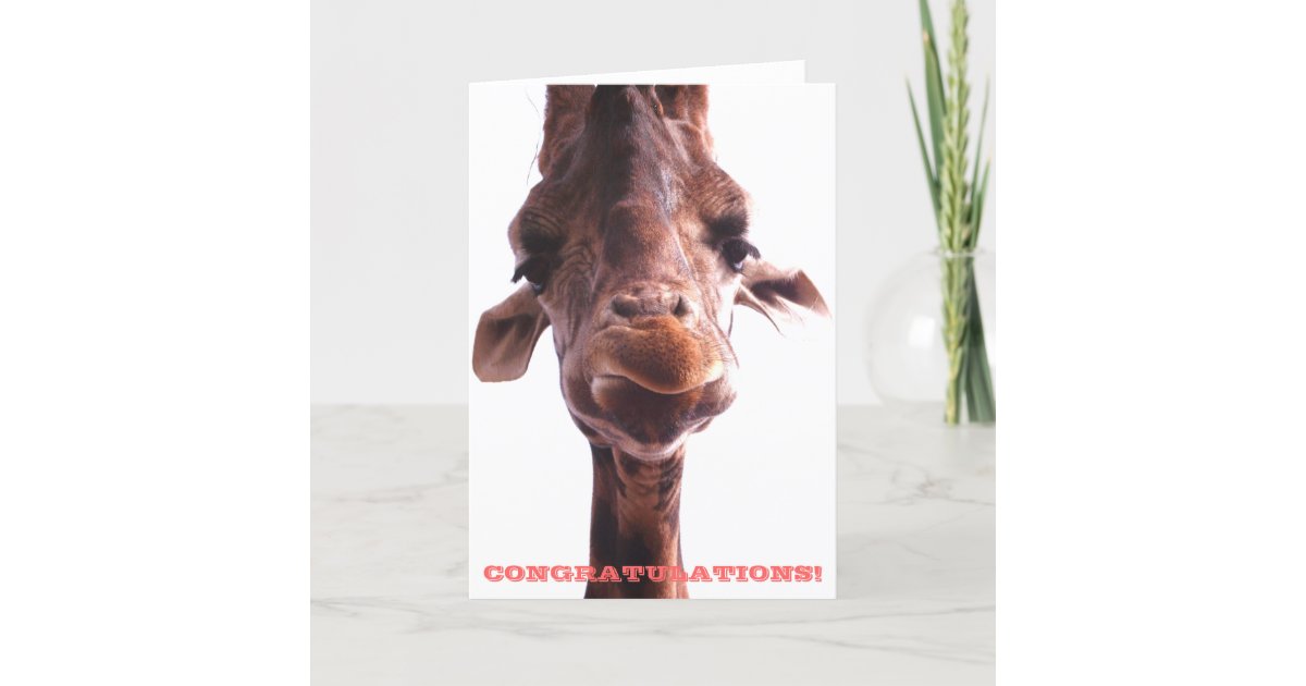 Grumpy Giraffe: Congratulations Card | Zazzle