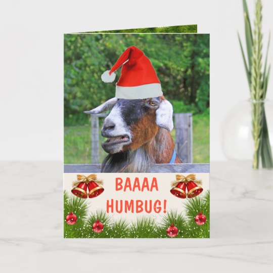 Grumpy Goat Christmas Holiday Card | Zazzle.com
