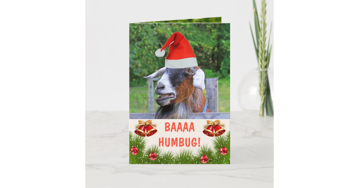 Grumpy Goat Christmas Holiday Card | Zazzle