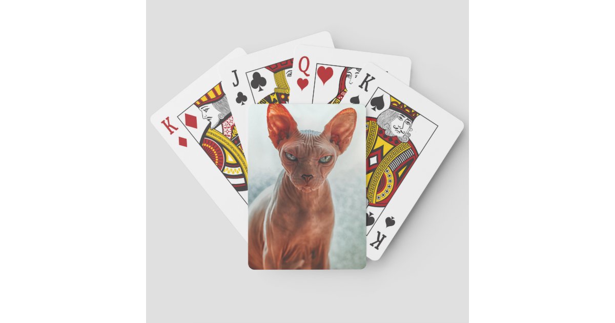 Grumpy Hairless Sphynx Cat Poker Cards | Zazzle