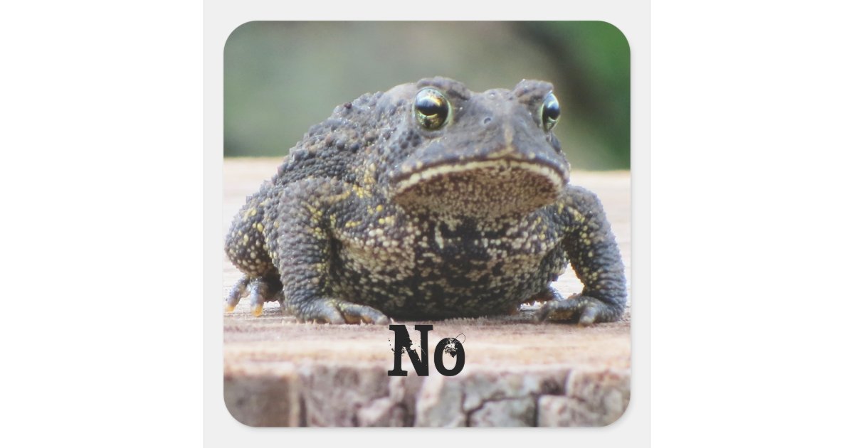 Grumpy Old Toad on a Stump Square Sticker | Zazzle