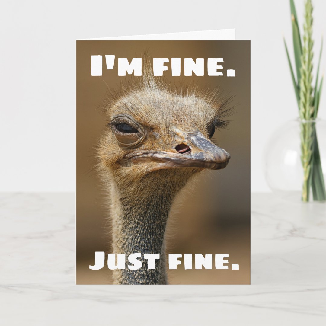 Grumpy Ostrich is Just Fine. What About You? Card | Zazzle