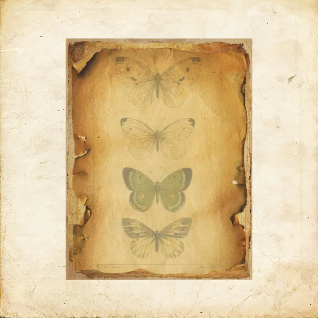 Grungy Butterfly Scrapbook Paper | Zazzle