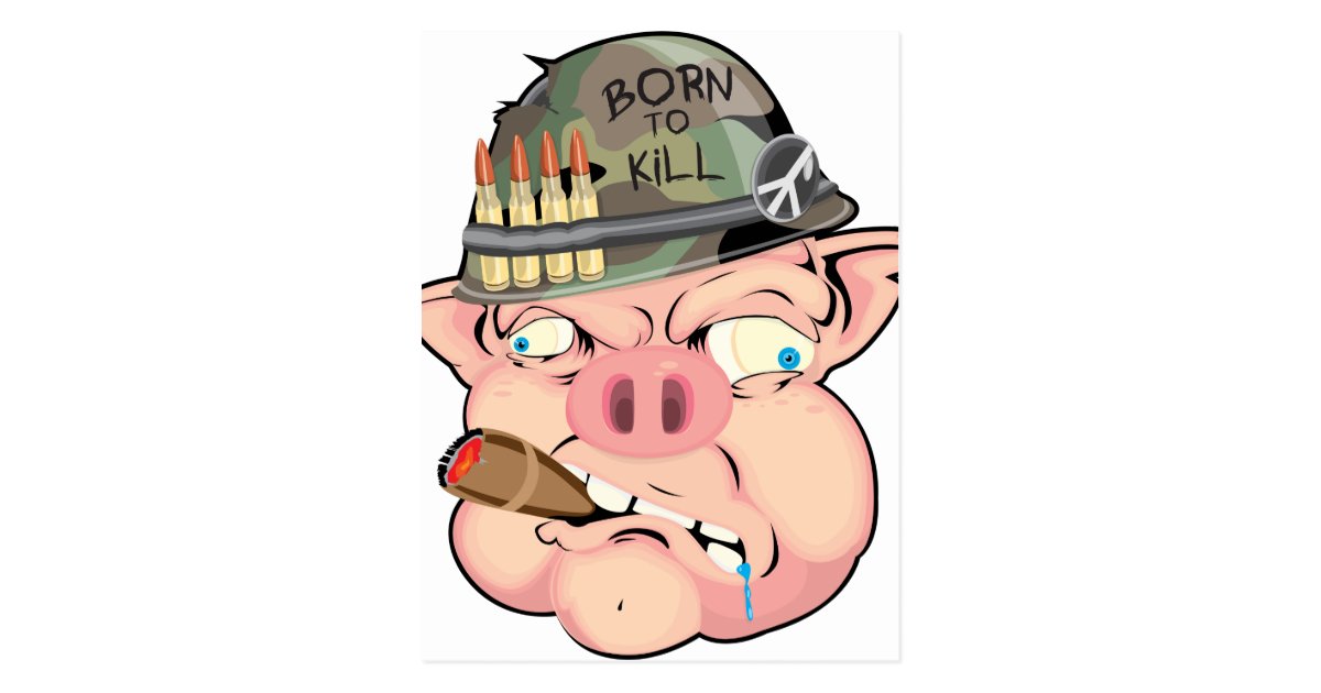GRUNT PIG POSTCARD | Zazzle.com