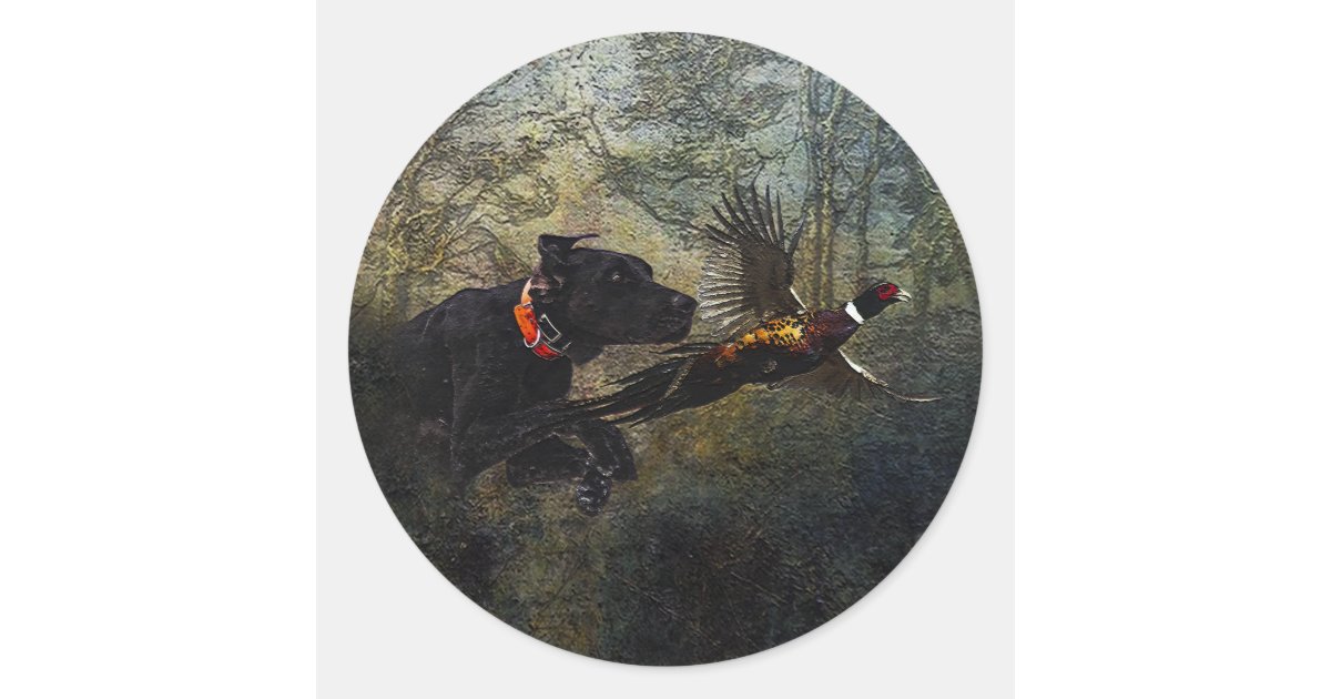 GSP , Hunting pheasant Classic Round Sticker | Zazzle