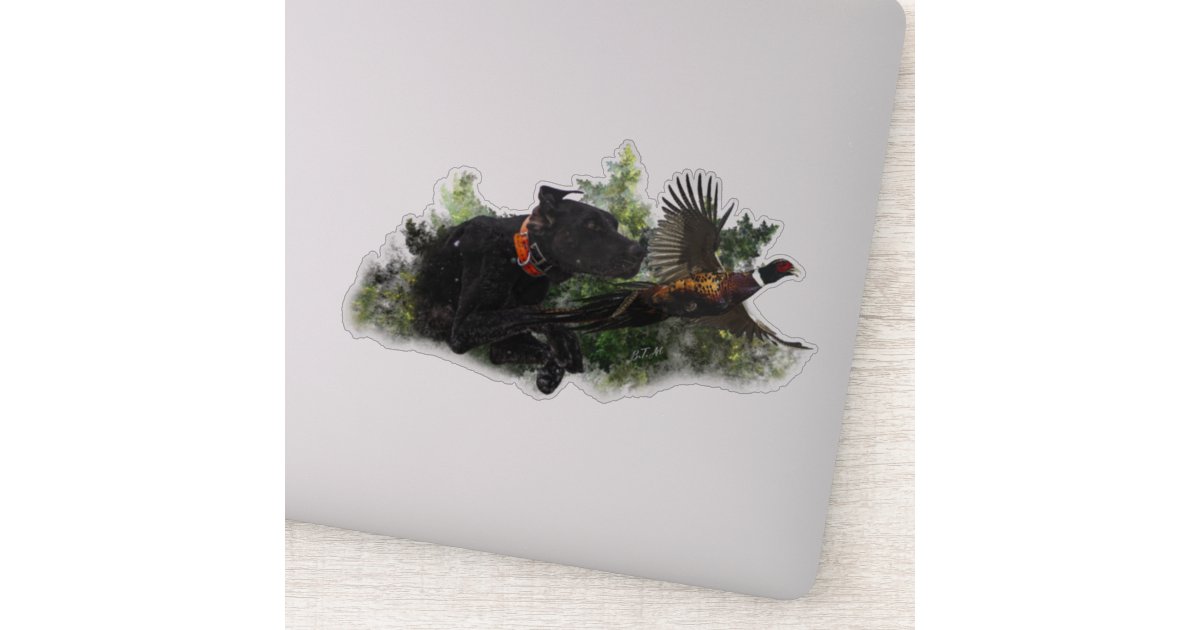 GSP , Hunting pheasant Sticker | Zazzle