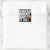 Guess What Day It Is Hump Day Camel Stickers | Zazzle