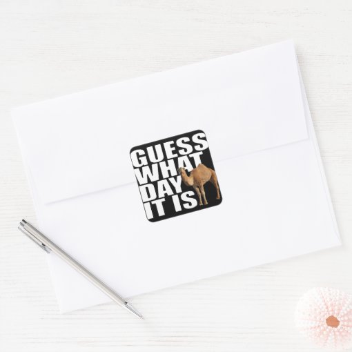Guess What Day It Is Hump Day Camel Stickers | Zazzle