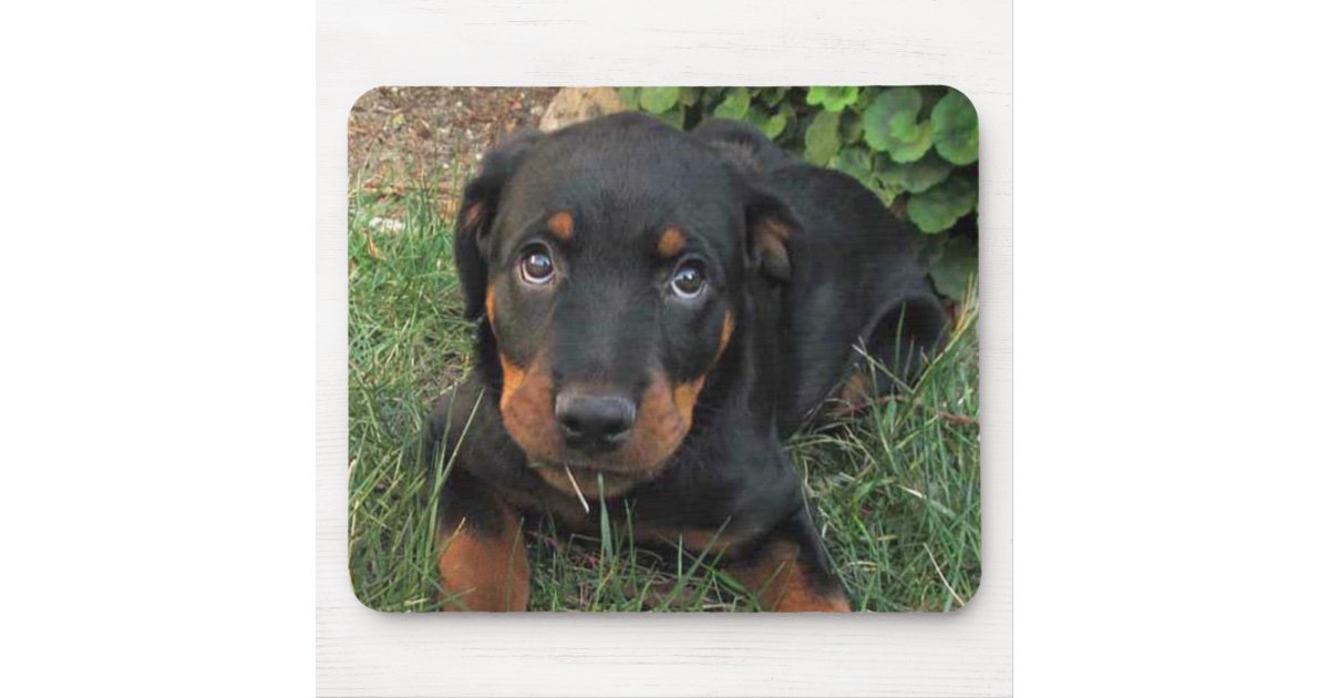 Guilty Rottweiler Puppy Mouse Pad | Zazzle