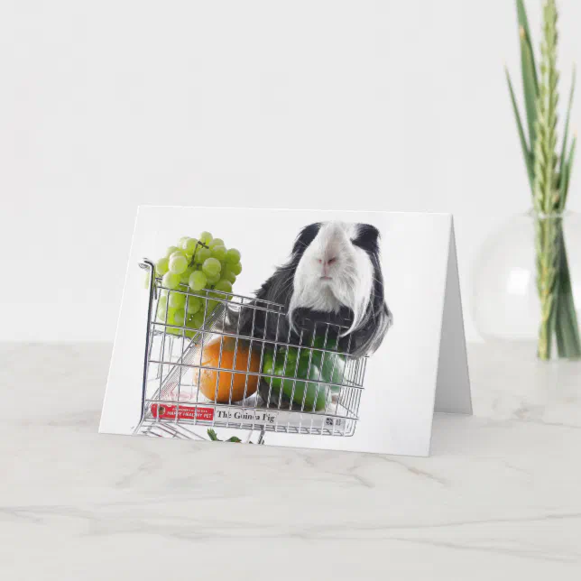 Guinea Pig greeting card | Zazzle