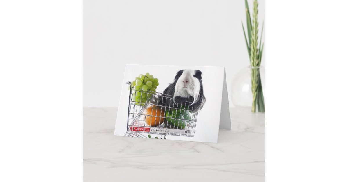 Guinea Pig greeting card | Zazzle
