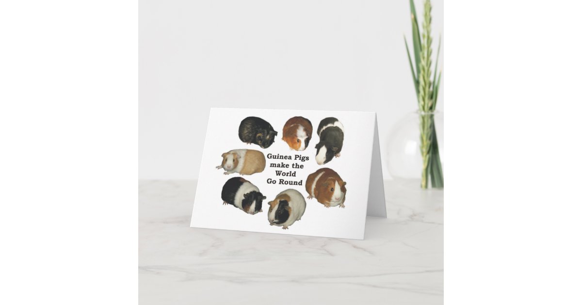 Guinea Pig Note Card | Zazzle
