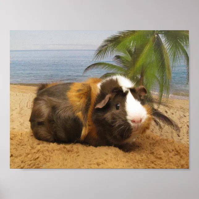 Guinea Pig Under Palm Tree Poster | Zazzle