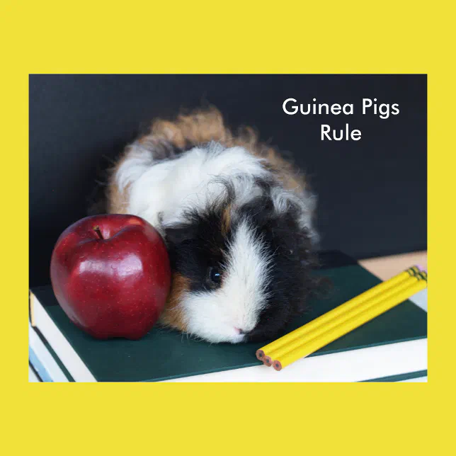 Guinea Pigs Rule Poster | Zazzle