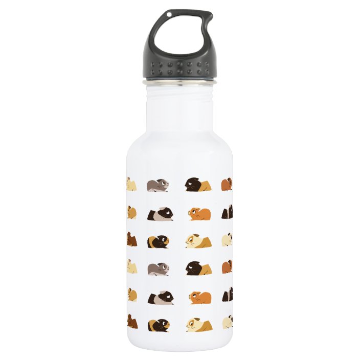 Guinea pigs water bottle | Zazzle.com