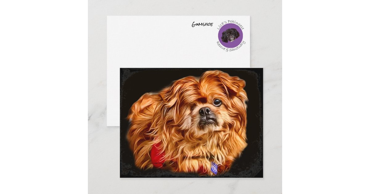 Gumshoe! Extrodinary art for everyday cards | Zazzle