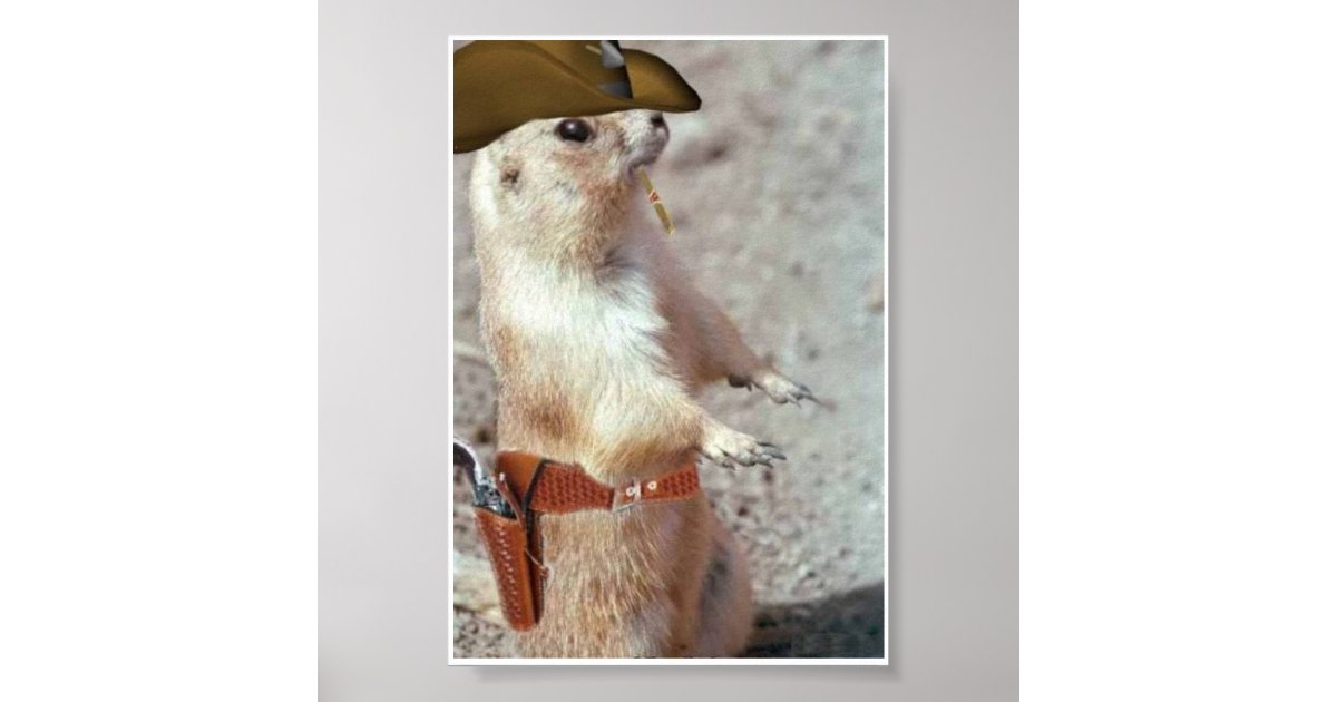 Gun Slinger Squirrel Poster | Zazzle