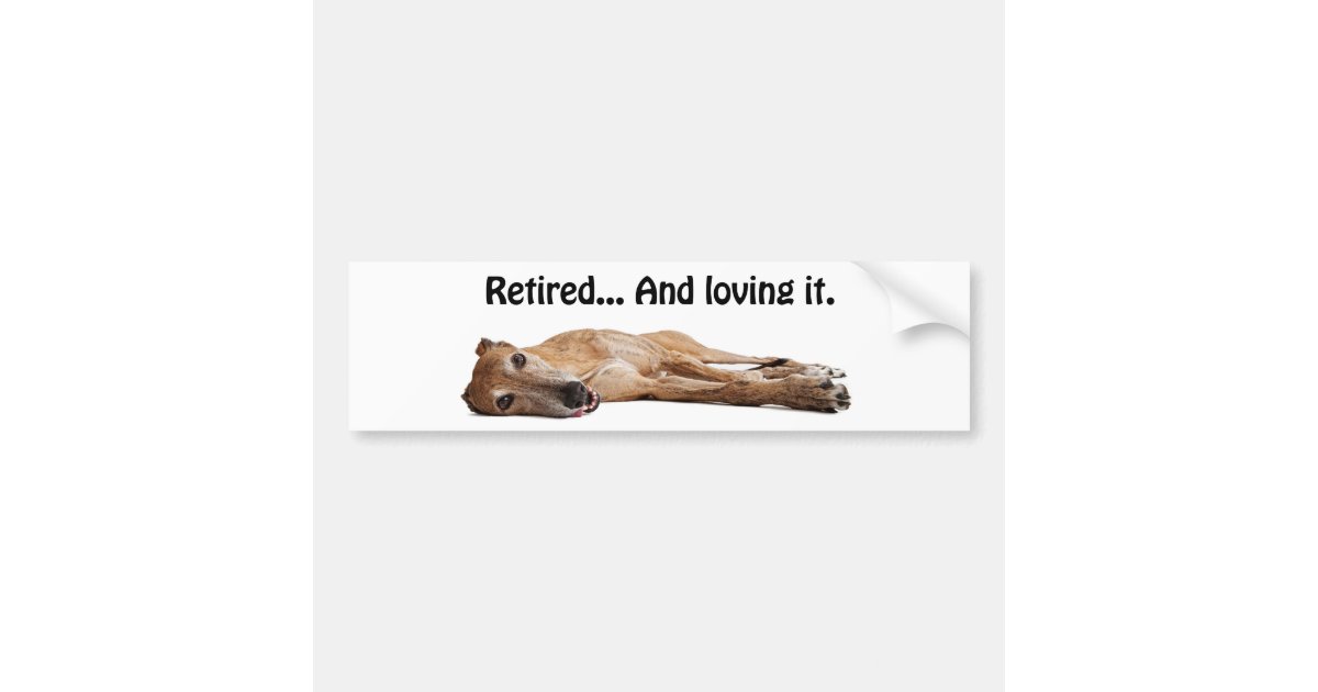 GVV Greyhound Retired and Loving It Bumper Sticker | Zazzle