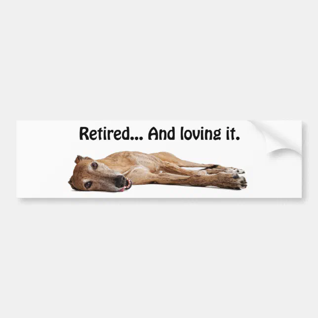 GVV Greyhound Retired and Loving It Bumper Sticker | Zazzle