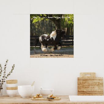 Gypsy Gold Gypsy Vanner stallion poster | Zazzle