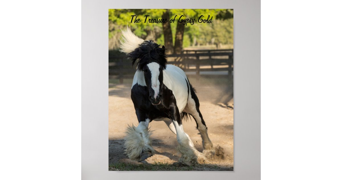Gypsy Gold Gypsy Vanner Treasure poster | Zazzle
