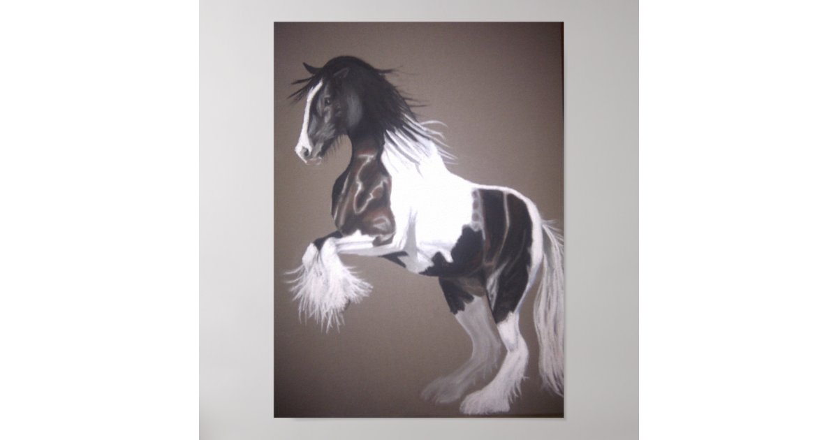 Gypsy vanner stallion poster | Zazzle