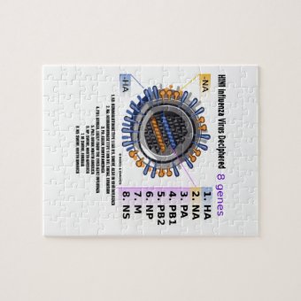 H1N1 Influenza Virus Deciphered (Health) Jigsaw Puzzle | Zazzle