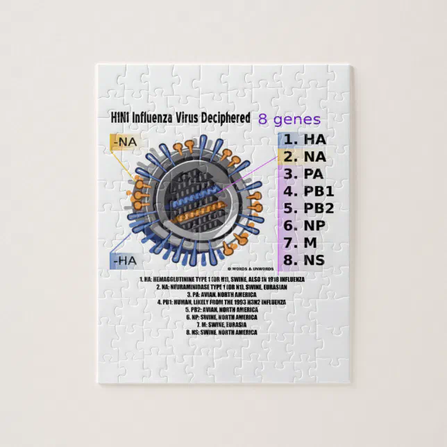 H1N1 Influenza Virus Deciphered (Health) Jigsaw Puzzle | Zazzle