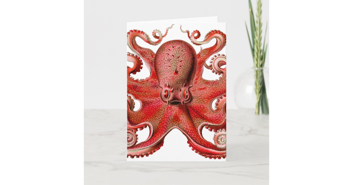 Haeckel Octopus Red Card | Zazzle