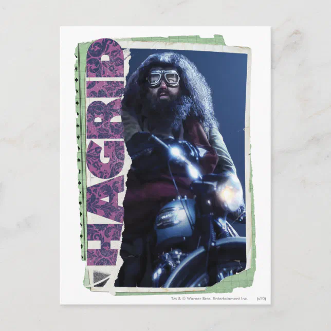 Hagrid Postcard | Zazzle
