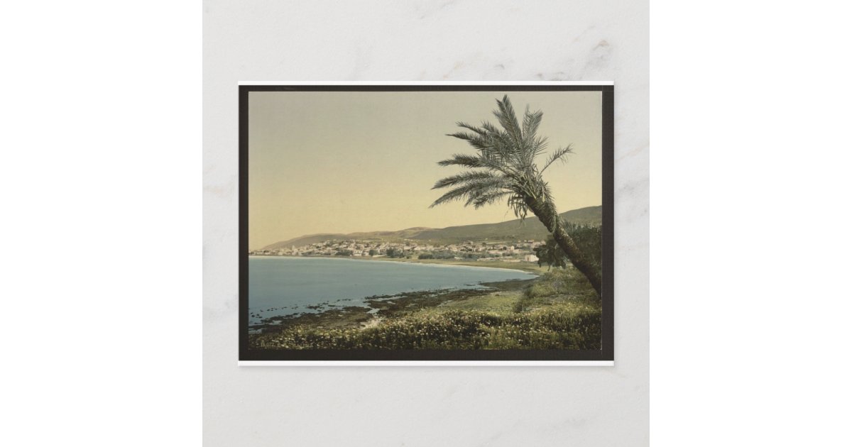 Haifa in the 1890's postcard | Zazzle
