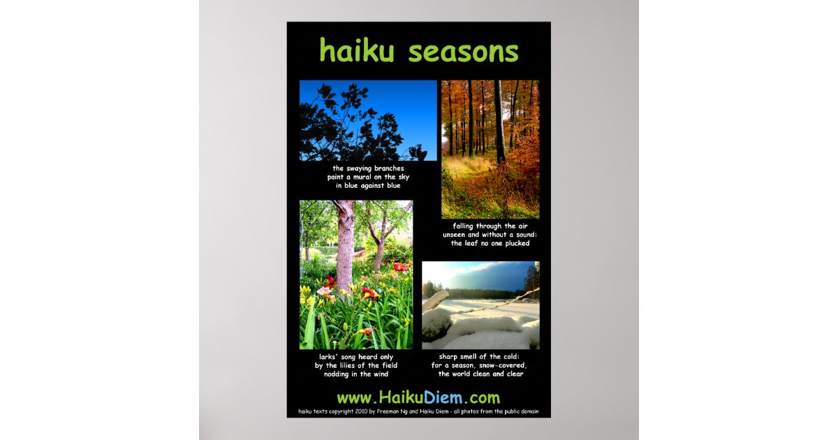 Haiku Seasons poster (black background) | Zazzle