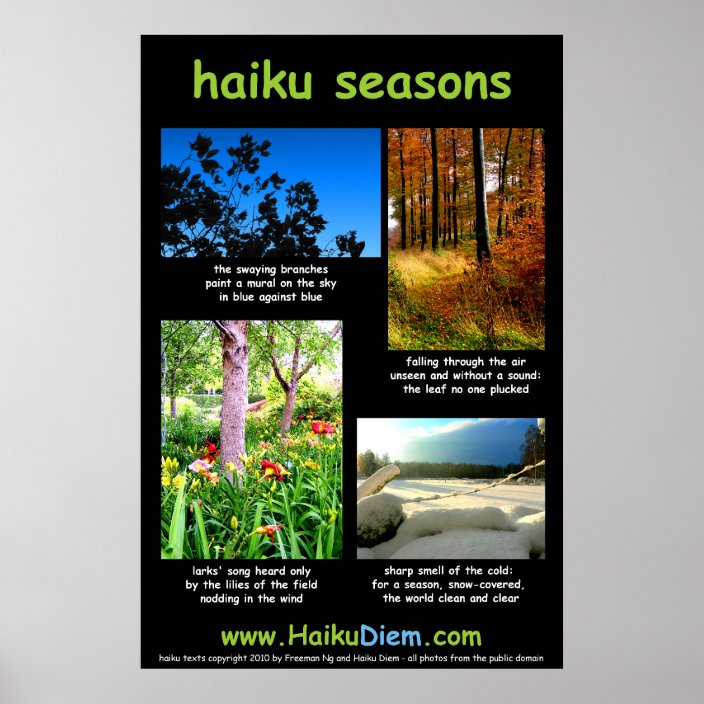 Haiku Seasons Poster black Background Zazzle haiku-seasons-poster-black-background-zazzle