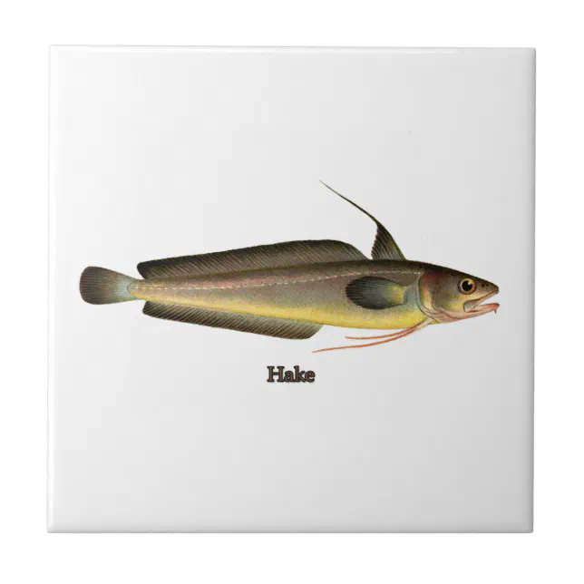 Hake Fish Logo Tile | Zazzle