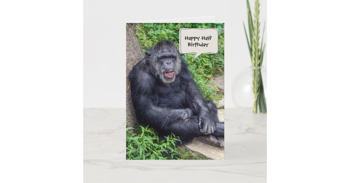 Half Birthday Chimpanzee Card | Zazzle