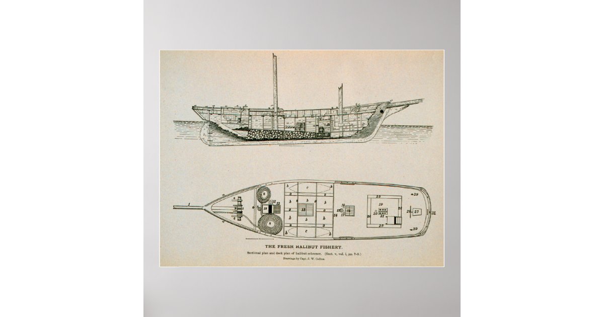 Halibut schooner poster | Zazzle