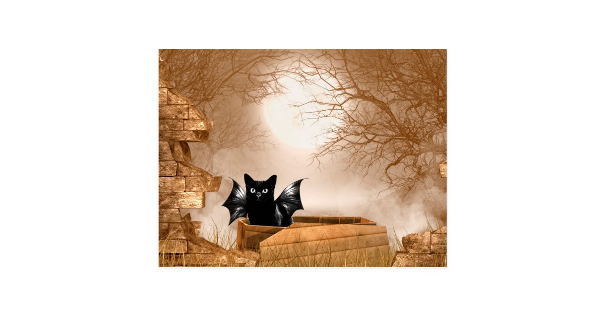 Halloween bat cat postcard | Zazzle.com