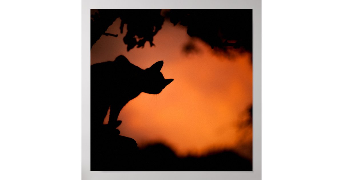 Halloween Black Cat Orange Background Customize Poster | Zazzle